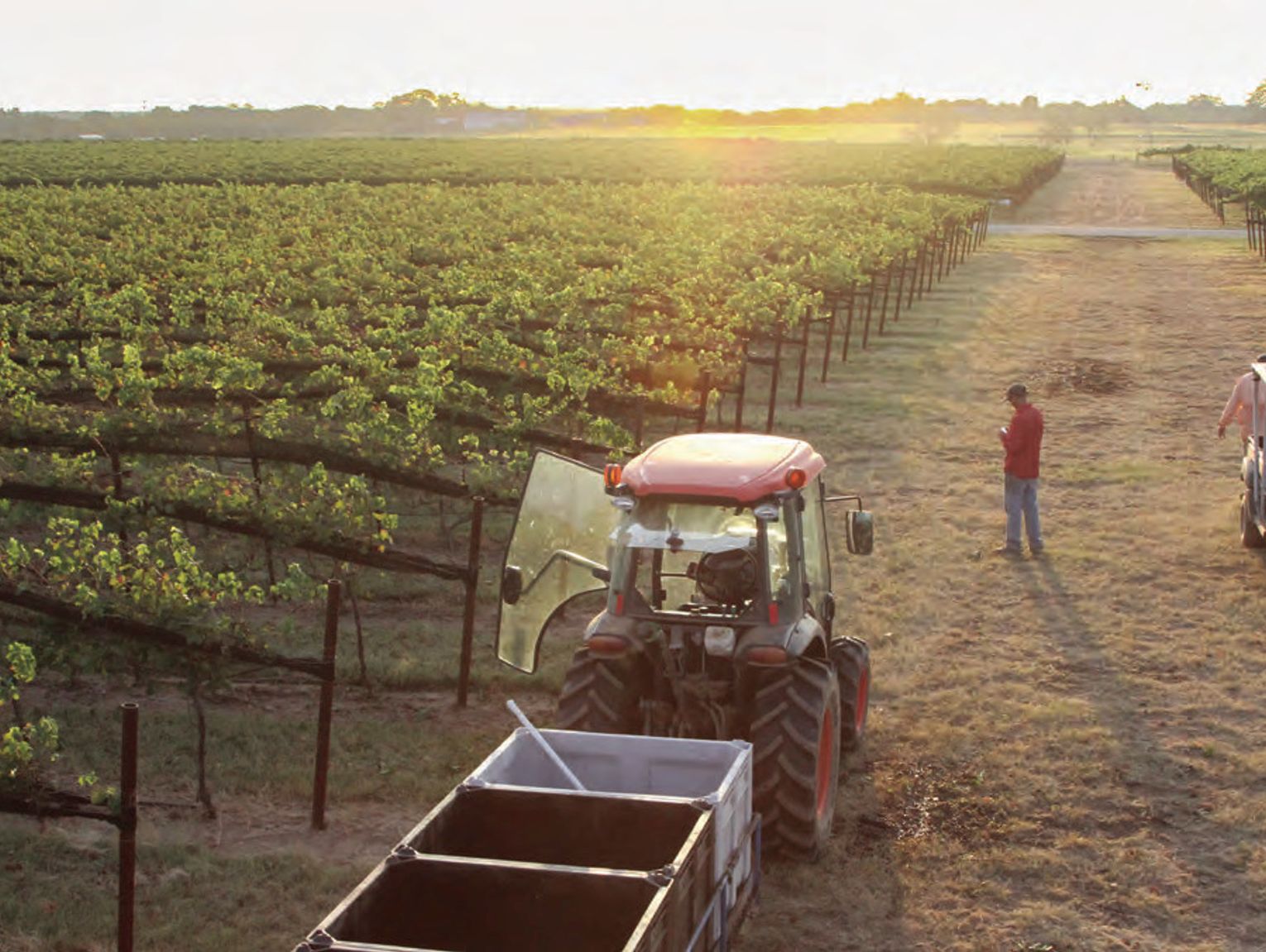 GUIDE TO HILL COUNTRY WINERIES